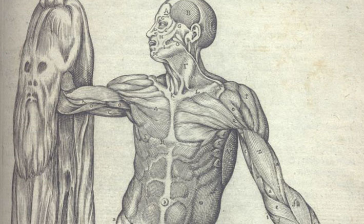 World Anatomy Day 2023 | Università degli Studi di Palermo